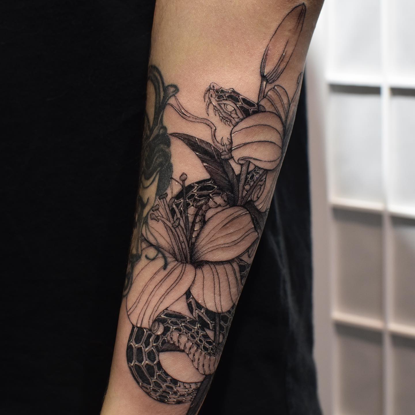 JACKY YANG – SANS PATRIE/ STUDIO