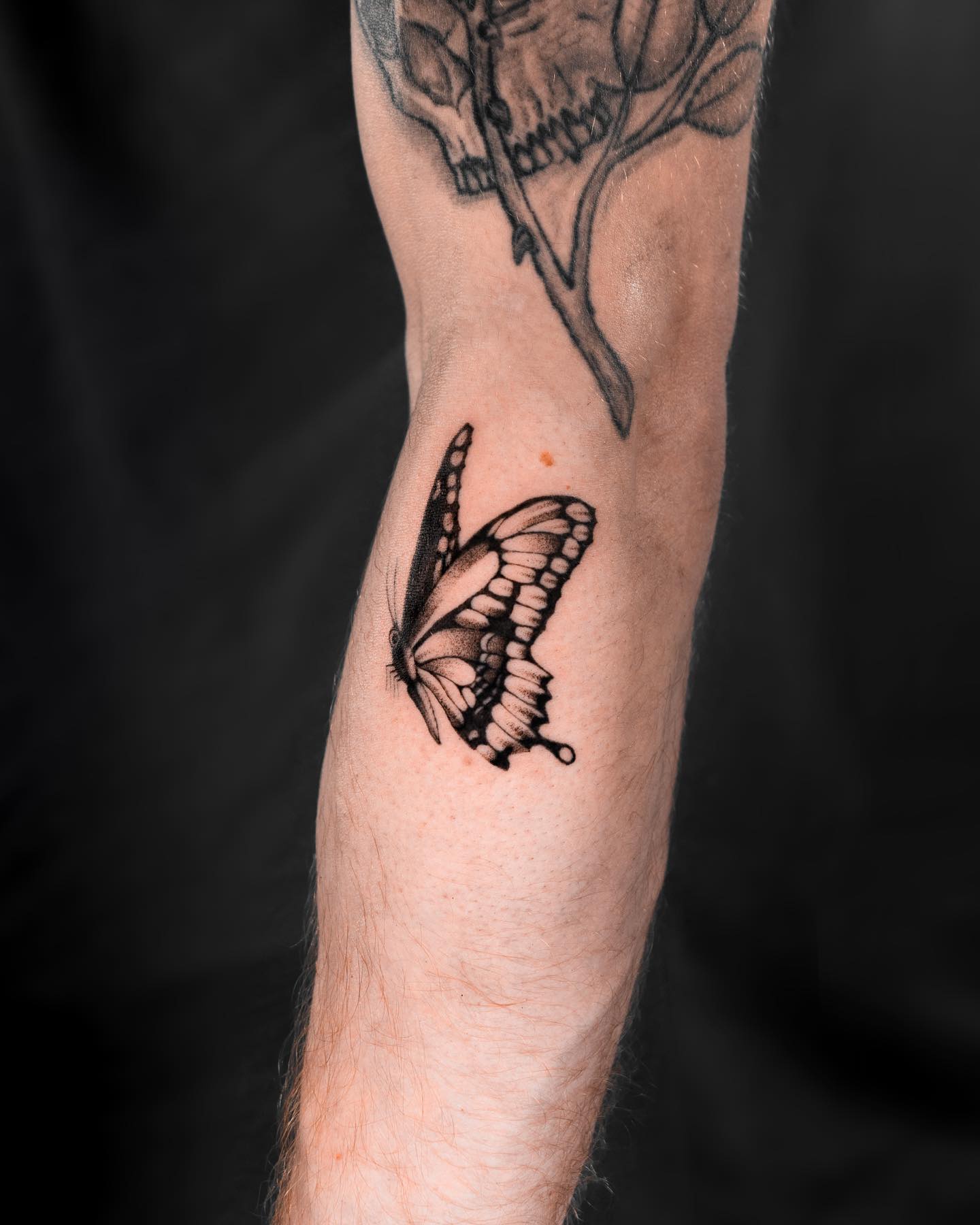 WILL FINCH – SANS PATRIE/ STUDIO