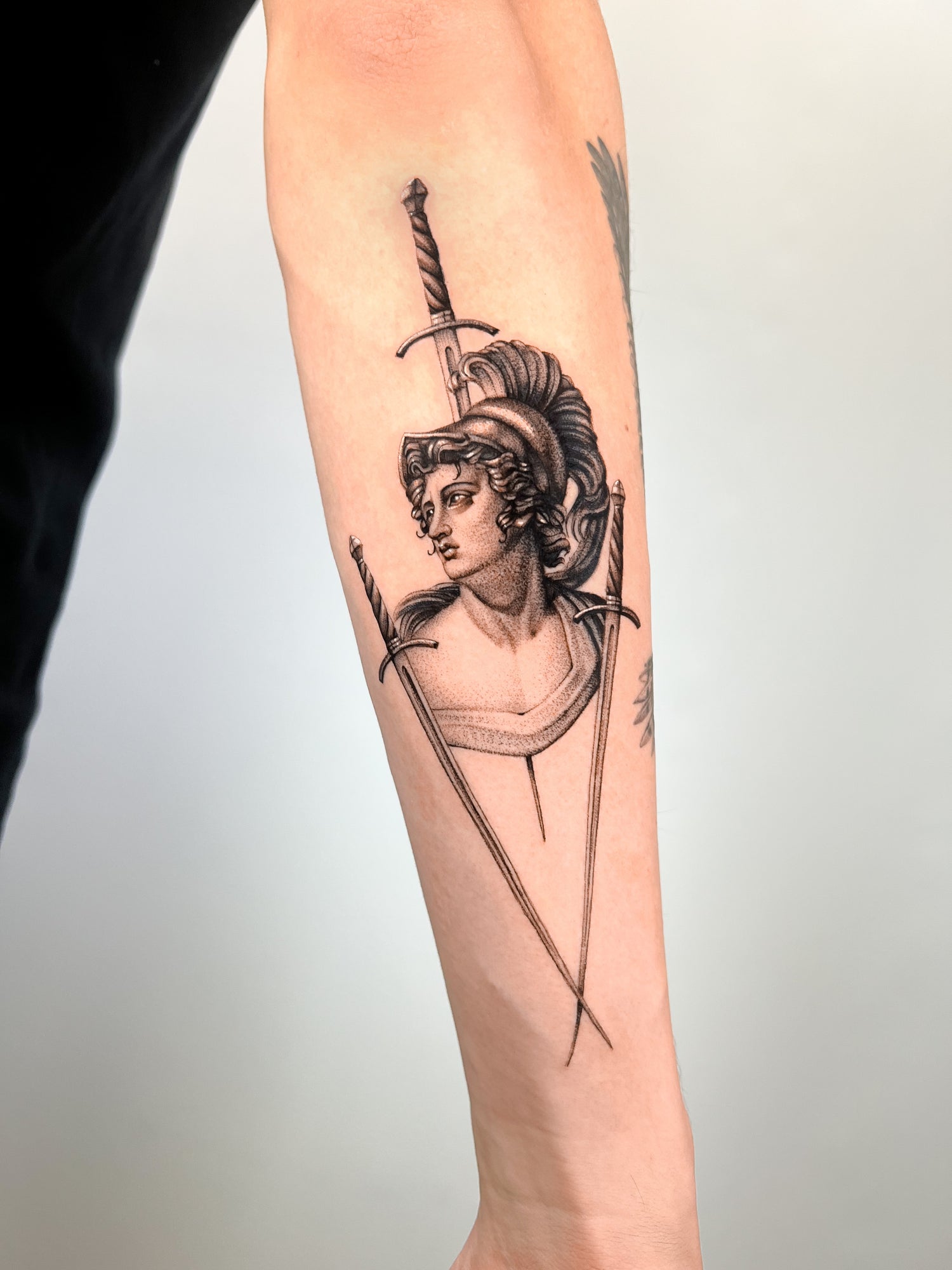 DELPHIN MUSQUET – SANS PATRIE/ STUDIO