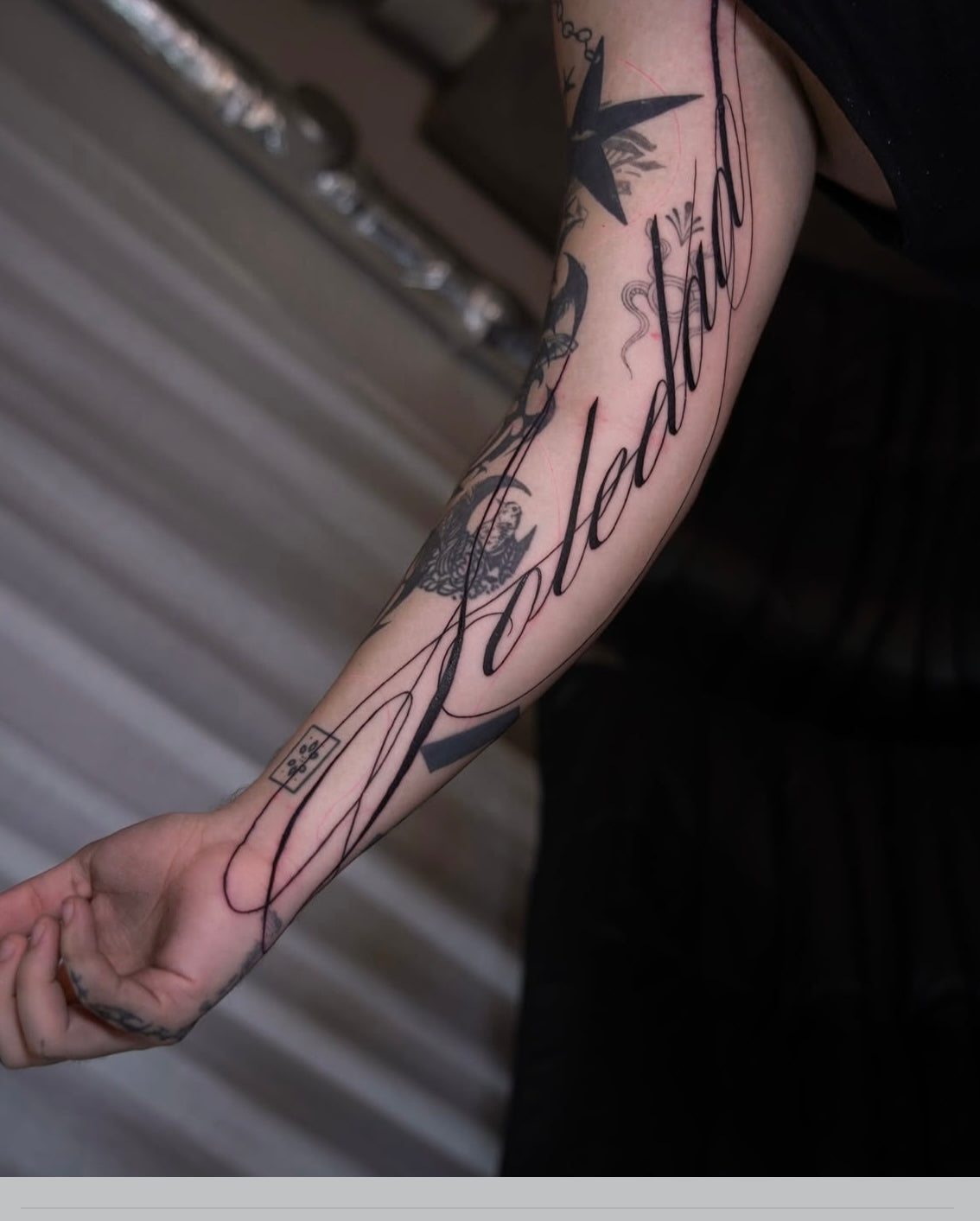 DELPHIN MUSQUET – SANS PATRIE/ STUDIO